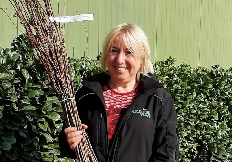 De schaarste aan zaden blijft een heet hangijzer en de prijzen zijn ...